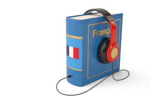 Curious about what some of the best books to learn French is? I’ll show ...